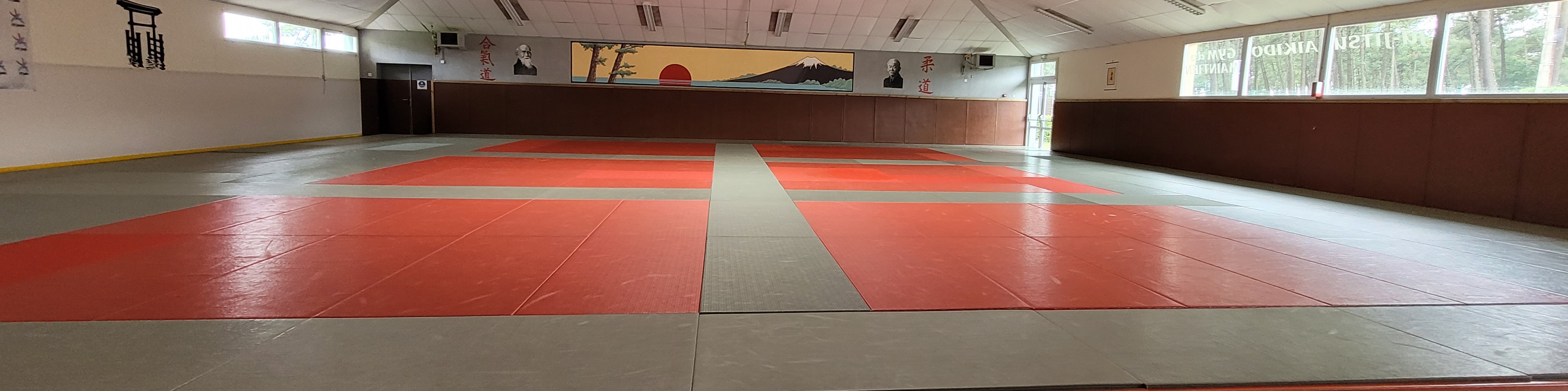 Dojo Gujanais